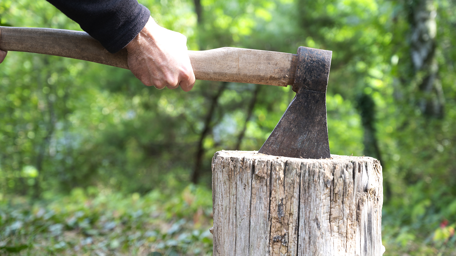 DIY Stump Removal by Hand: Step-by-Step Guide